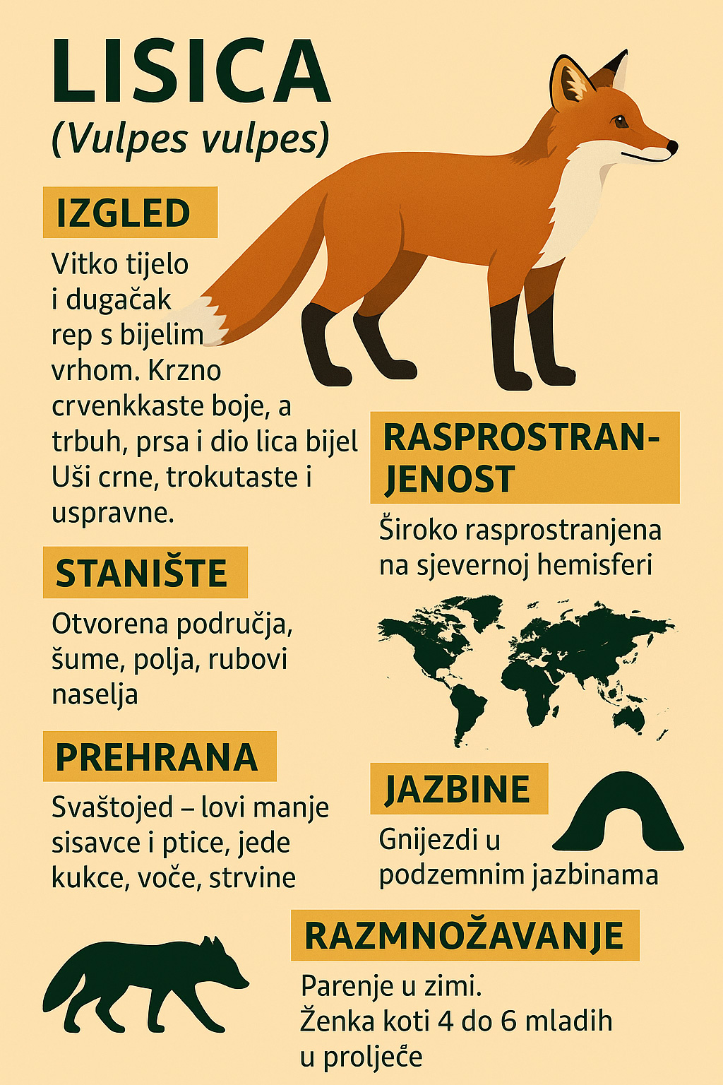 Lisica - lukava i skrovita - Priroda Hrvatske
