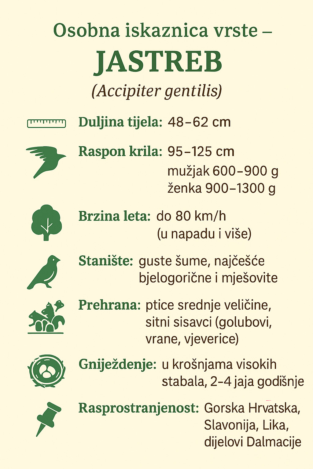 Jastreb – nevidljivi vladar šume - Priroda Hrvatske